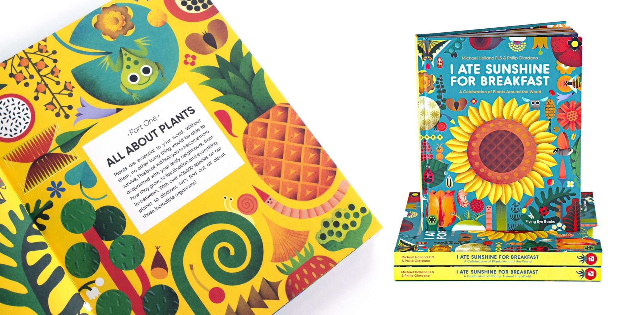 I Ate Sunshine for Breakfast DIYs – Flying Eye Books