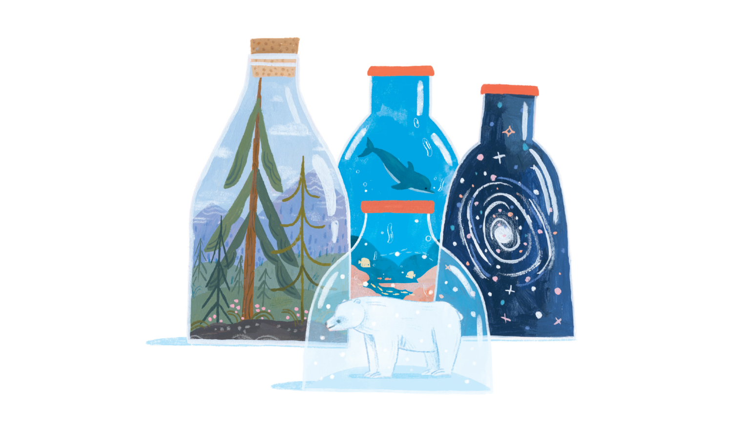 The Planet in a Pickle Jar: Fill Your Own Magical Pickle Jar with ...