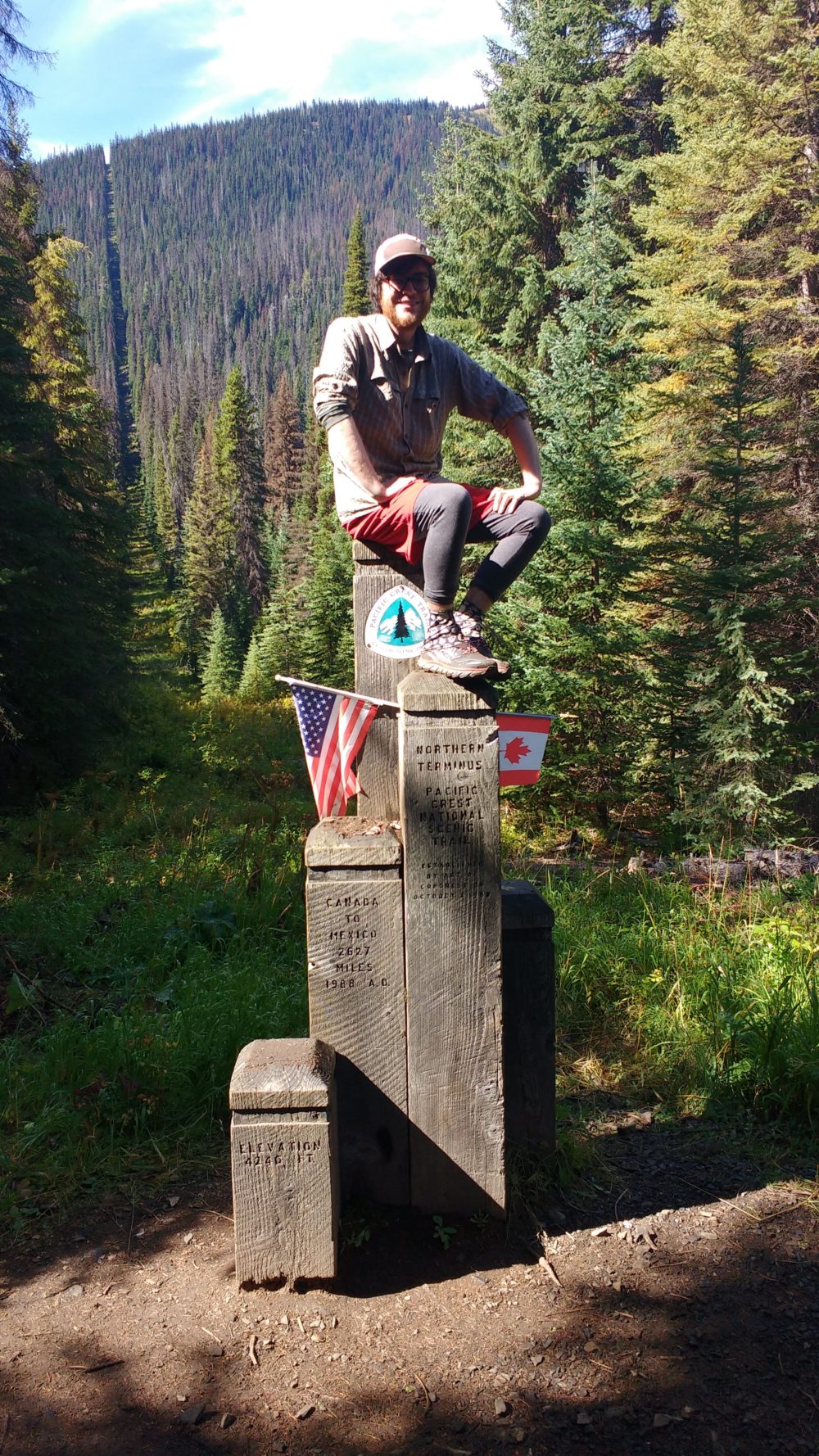 Spotlight on: Americana by Luke Healy – Flying Eye Books